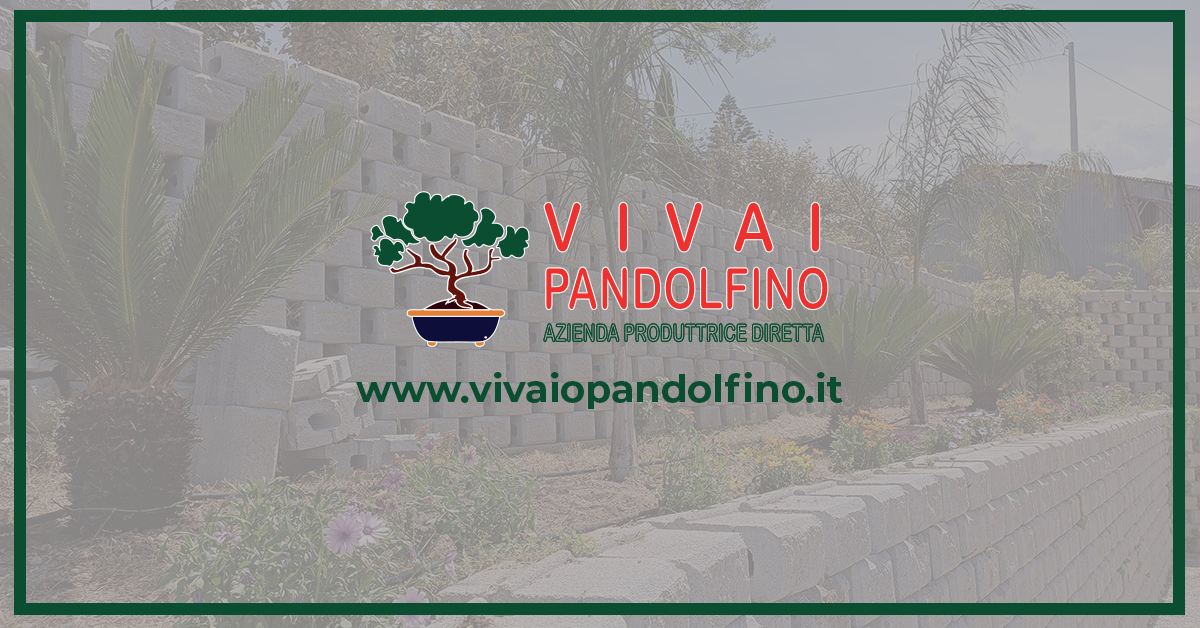 Vivaio piante Messina - Vivaio Pandolfino